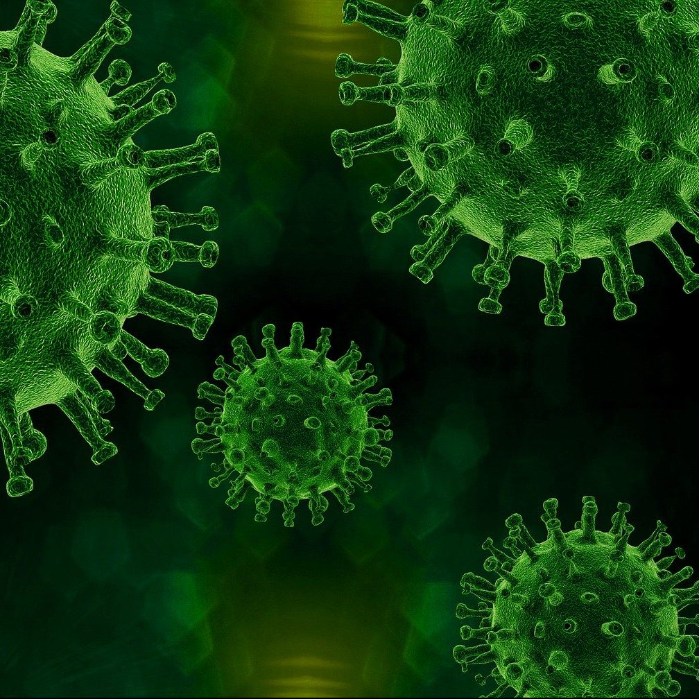 Vorzeitiges Ende der Eislaufsaison aufgrund COVID-19 — Eislaufverein ...